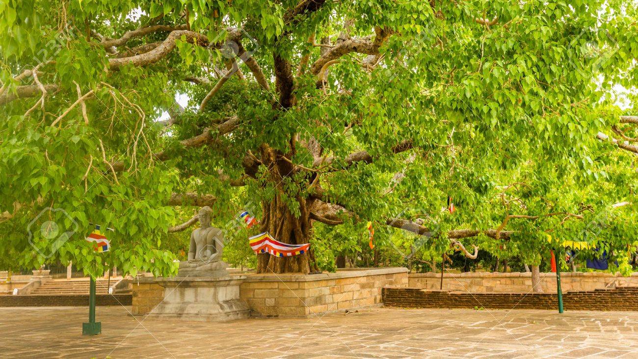 10 Best Places to Visit in Lumbini – Best places to visit in Nepal